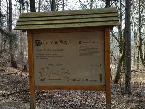 Märchenpfad Hasserode Routes For Walking And Hiking Komoot