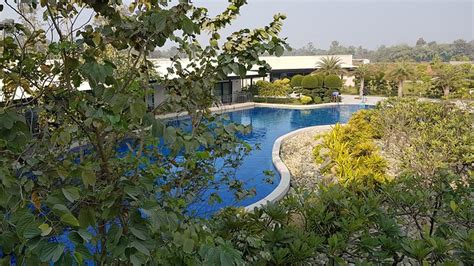 Tiger Palace By Soaltee Pool Pictures And Reviews Tripadvisor