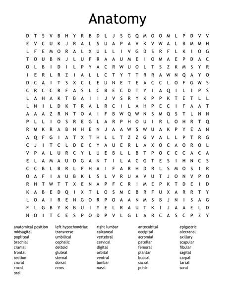 Anatomy Word Search Wordmint