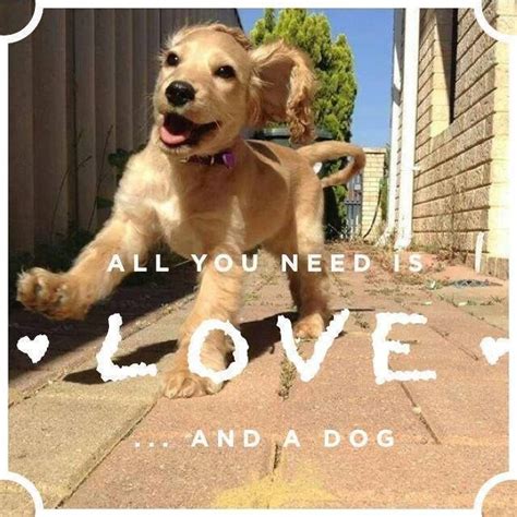 Edward Cocker Quotes Quotesgram