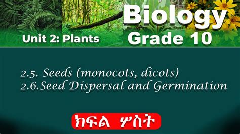 Grade 10 Biology Unit 2 Part 3 Plants Seeds Monocots Dicots