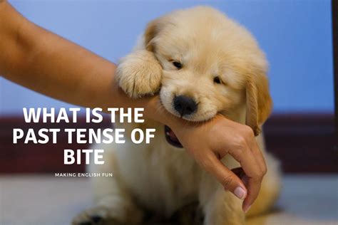 What Is The Past Tense Of Bitemaking English Fun