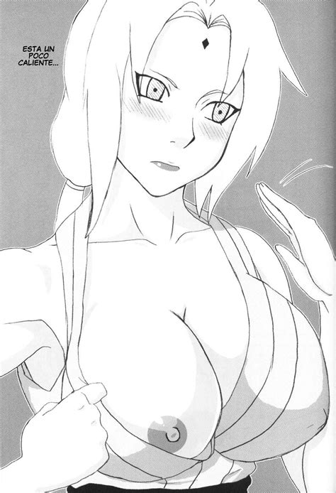 Naruhodo Tsunade Book Naruto