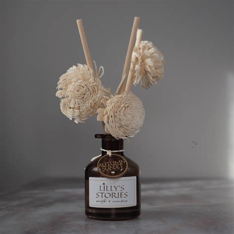 The Pumpkin Field Story Aroma Diffuser Pumpkin Pie Fragrance