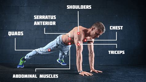 Calisthenics Vs Weight Lifting Pros And Cons Cali Move Blog