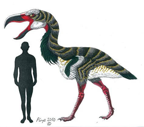 Til The Last Hemlock Dies Kelenken Guillermoi