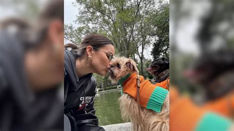 Conoce A Lylo Fa La Bella Participante De Masterchef