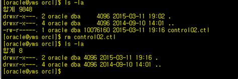 컨트롤파일 백업 테스트 Dba의 정석