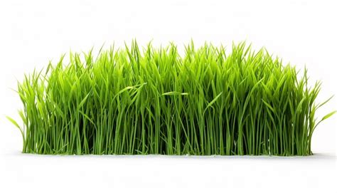 Premium Photo Green Grass Isolated On White Background Generated By Ai