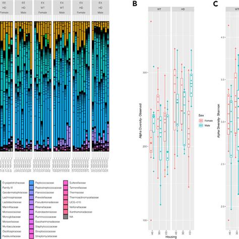 Composition Bar Plots For Relative Abundance Data And Microbiota Download Scientific Diagram