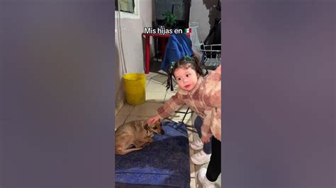 1211新鲜小猪合集朱丽叶和吉安娜 胖宝宝 Youtube