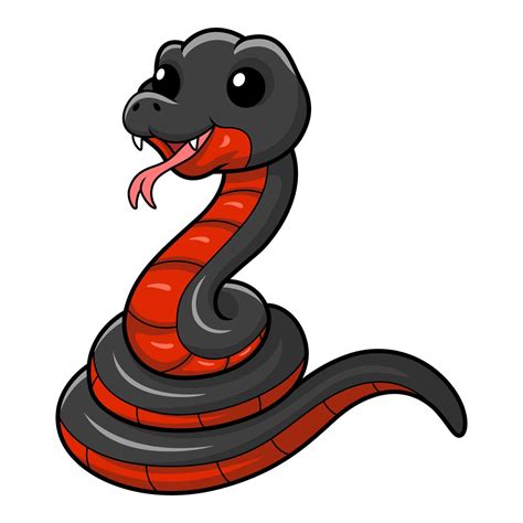 Cute Red Bellied Black Snake Cartoon 20126810 Vector Art At Vecteezy