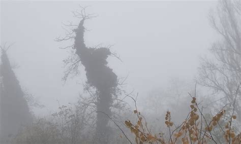 Tea Blažević Vremenska Prognoza 3 1 2025