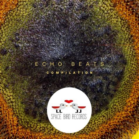Cibelo Peter Echo Beats Space Bird Records Music And Downloads On
