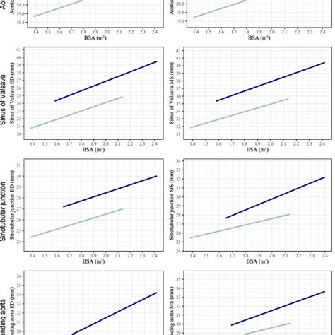 Nomograms Of Aortic Root Diameters For Women And Men 60 Years At