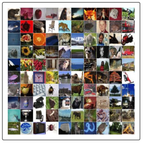 4 Provides A Brief Overview Of All 100 Classes In This Dataset Download Scientific Diagram