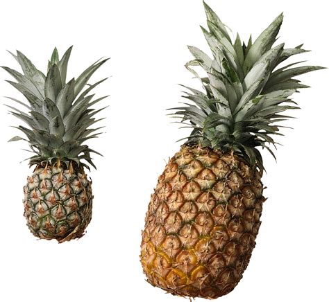 Pineapple Image Graphic Artwork Png