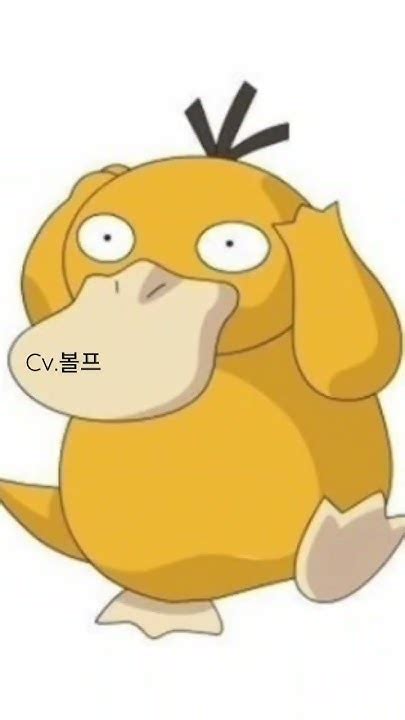 고라파덕 Youtube