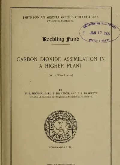 Carbon Dioxide Assimilation A Higher Plant