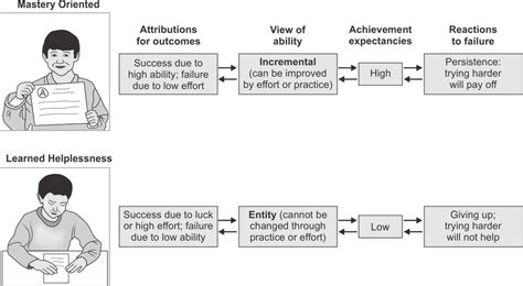 6 Difference Between Two Types Of Attribution That Is Download Scientific Diagram