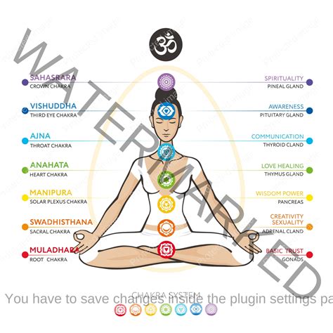 Spiritual Healing The Chakras And The Endocrine System The Institute