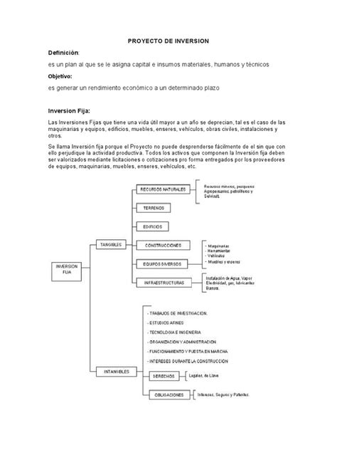 Proyecto De Inversion Pdf