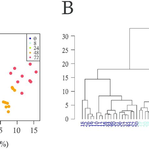 Analysis Of Bulk Cell Gene Expression During The Differentiation