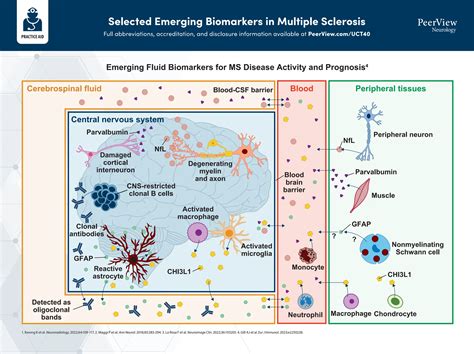 Taking A Closer Look At Each Patient Exploring Novel Biomarker And