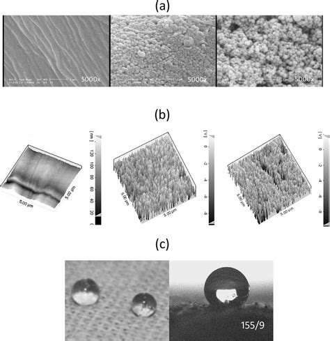 Scanning Electon Microscope And Scanning Probe Microscope Micrographs
