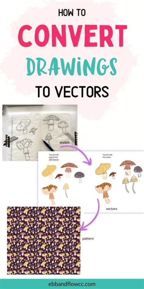 How To Convert Drawings To Vectors Learning Adobe Illustrator