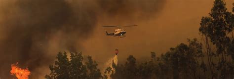 Marcelo Piccardo Lemus El Empresario Que Impidió Cargar Agua A Piloto Español Que Combatía