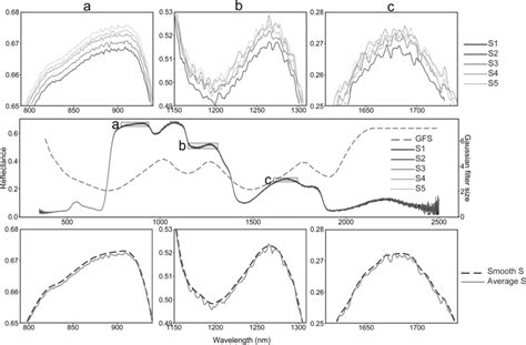 Spectral Signature Smoothing Using A Gaussian Filter With Variable Size Download Scientific