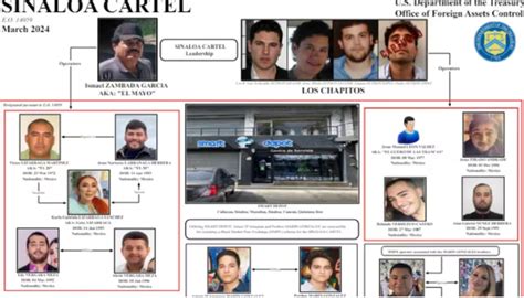¿quiénes Son Los Chapitos Los Guanos Y Cuál Es Su Relación Con El Mayo