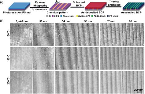 Directed Self Assembly Of Block Copolymers For Sub 10 Nm Fabrication