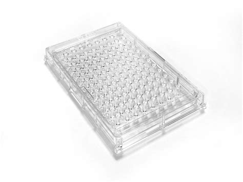 Sputocol™ Sputum Collection System Evergreen