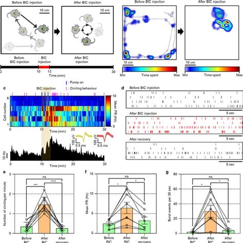 Design And Features Of The Wireless Neural Probe System With Drug