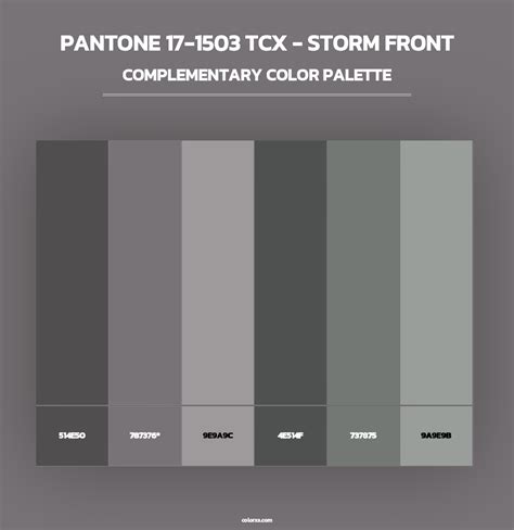 Pantone 17 1503 Tcx Storm Front Color Palettes
