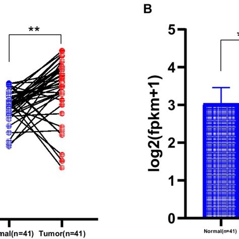 Ndc1 Was Upregulated In Colon Cancer Tissue A Ndc1 Was Upregulated