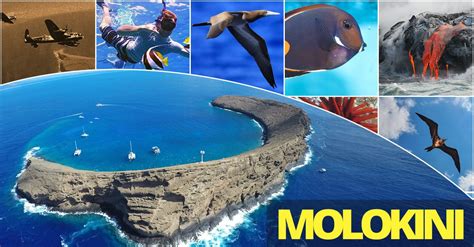 Molokini Crater Snorkeling Boss Frogs Hawaii