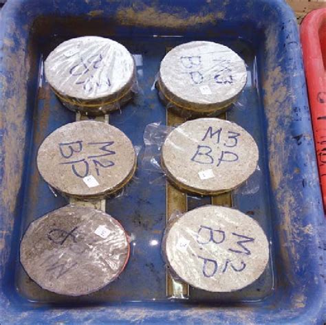 Setup Of Sorptivity Test Download Scientific Diagram