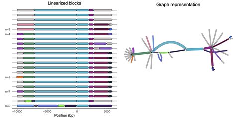 Example Application Antibiotic Resistance Gene Neighbourhoods