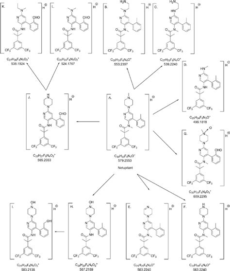 Proposed Structures Of The Electrochemically Generated Metabolites Of