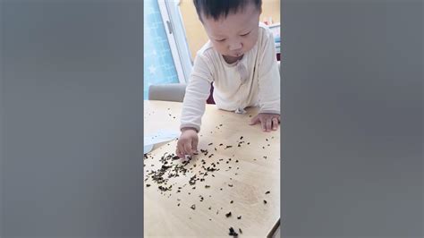 김 잘먹는 아들 하지만~~ㅜㅜ Youtube