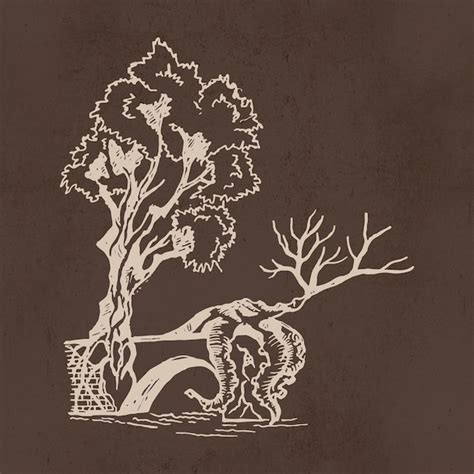 Premium Vector Cool Illustration Of A Tree On A Bridge With Roots In