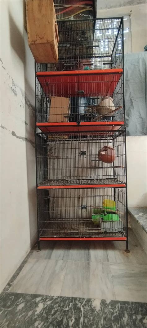 Fix Angle Tower Cage 4 Portion Cages Crates And Doors 1107283520