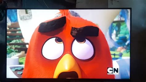 Angry Birds La Película Creditos Por Cartoon Network Latinoamerica