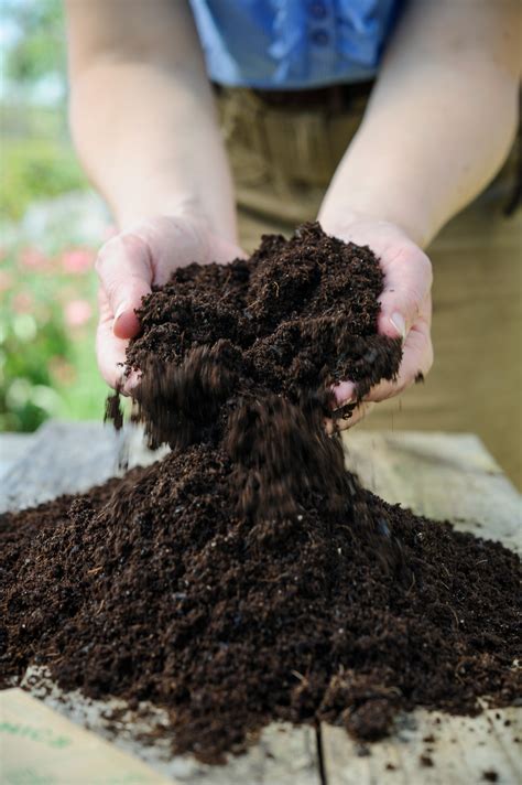 Debunking The Drying Myth Of Peat Free Compost