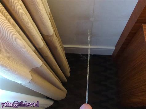 Hotel Room Corner Carpet Piss X3