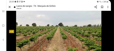 Si Me Lees Te Leo A Tamara Tampoco La Dejan Llevar Minifalda