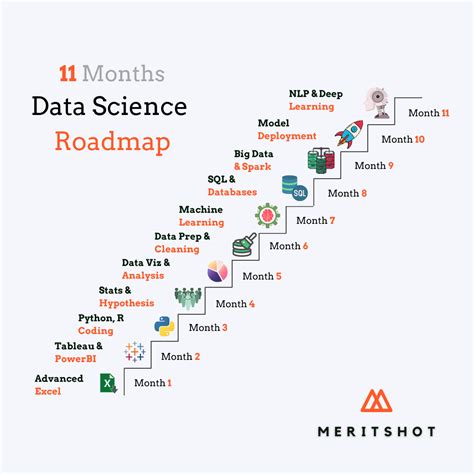 11 months data science roadmap meritshot datascience